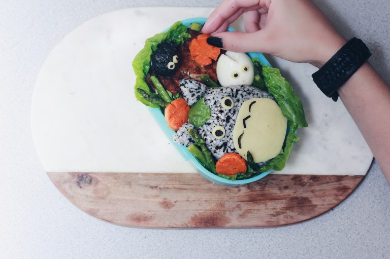 How to make a Totoro Bento Box – Geek Gals