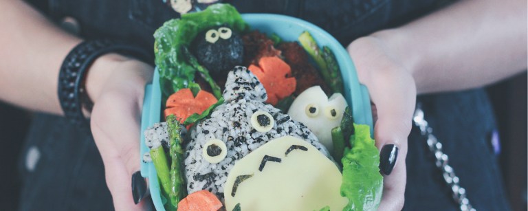 How to make a Totoro Bento Box – Geek Gals